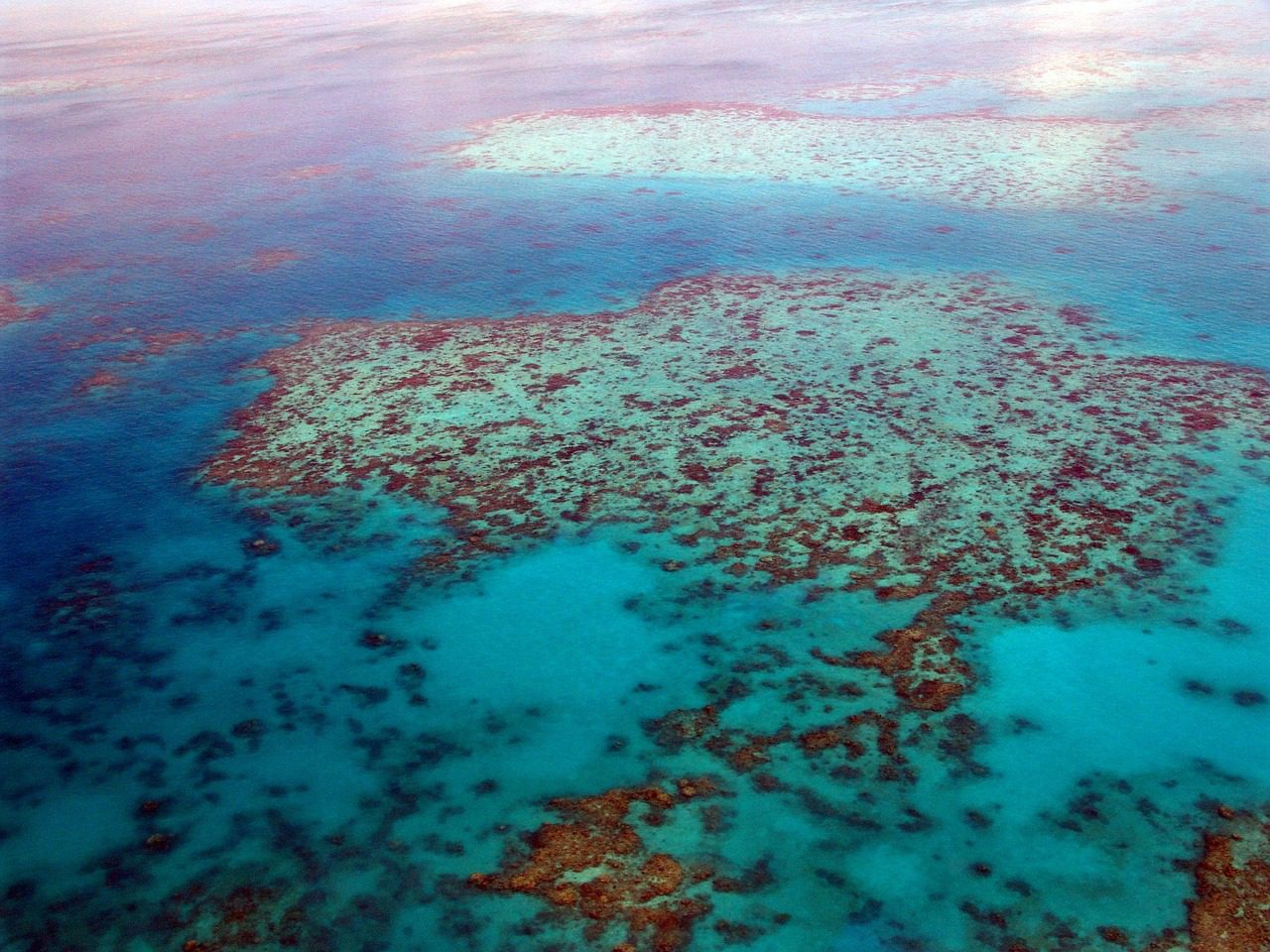 Great Barrier Reef: Dive Into The World’s Largest Reef— Australia ...