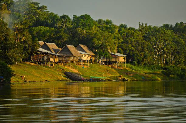 Colombia’s Amazon Riverside Eco-Cabins In Leticia: Glamping At The ...