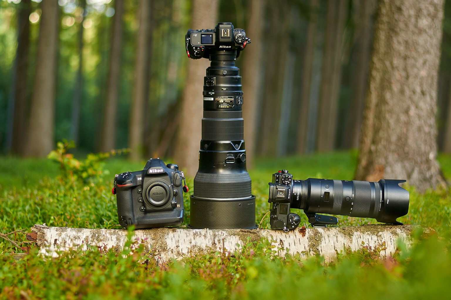Cameras & Video Cameras: Capture Every Adventure In Stunning Detail ...