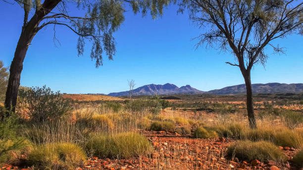 Alice Springs & Surrounds – Gateway To The Australian Outback ...